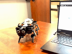 Control a Robot Dog with a Custom Viam Base Component | Tutorial